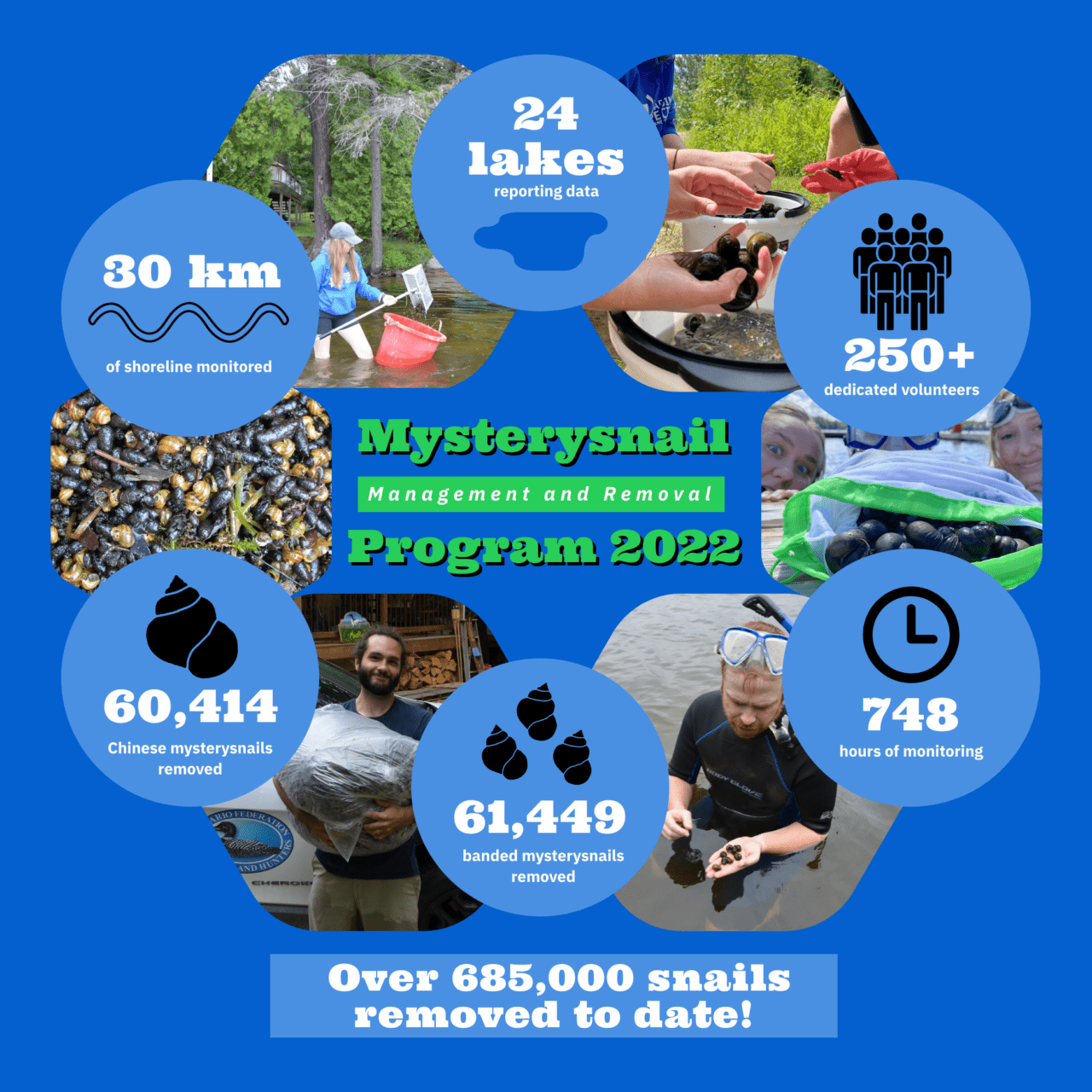 Mysterysnail Management and Removal Program | Ontario's Invading ...