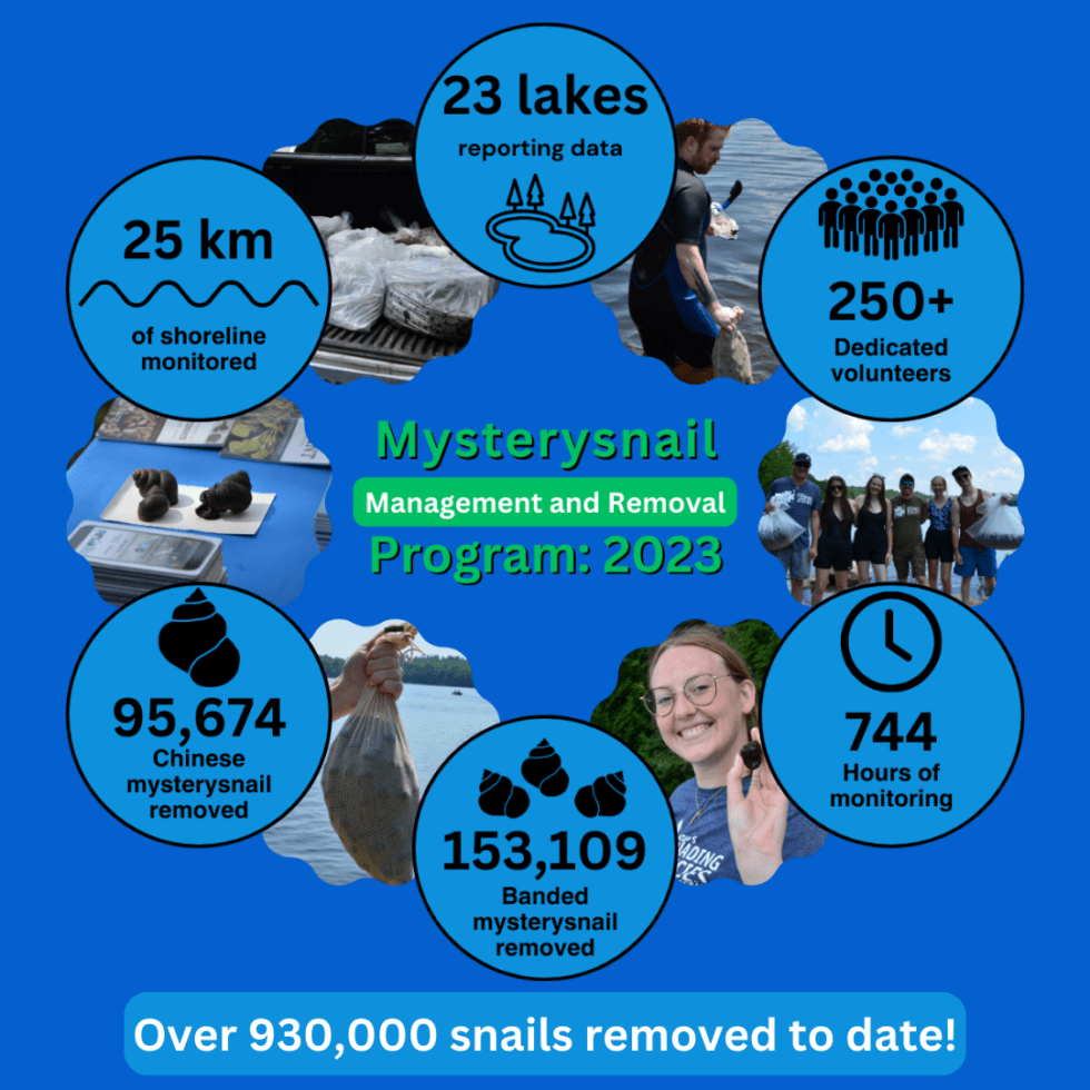 Mysterysnail Management and Removal Program | Ontario's Invading ...