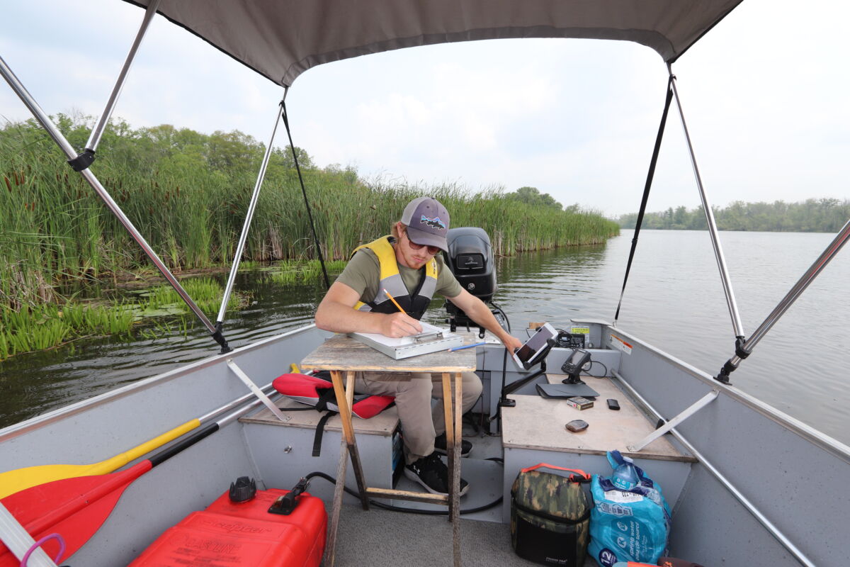 Water Soldier Eradication | Ontario's Invading Species Awareness Program